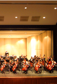 Cape Symphony Orchestra
